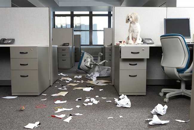 Boring, dirty workplace can hamper your brain