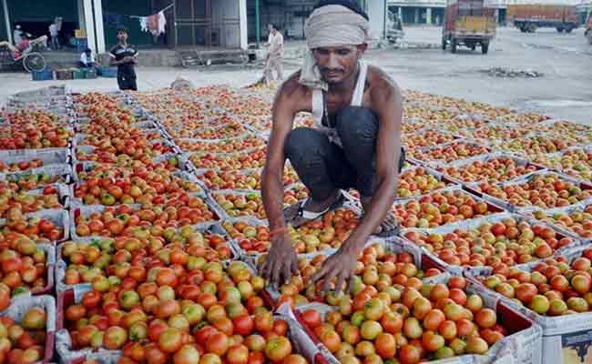 भारत से दुश्‍मनी पड़ी महंगी, पाकिस्‍तान में टमाटर 300 रुपये किलो ...