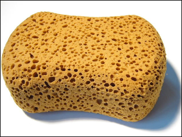 amazing facts about Trypophobia that is fear of small holes or bumps