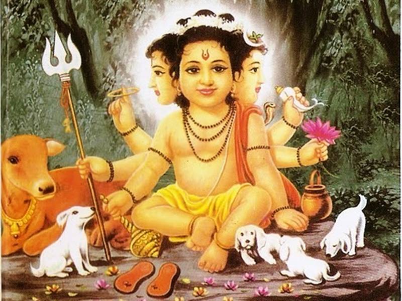 Dattatreya Jayanti 2019: Bhagwan Dattatreya had 24 Guru Know about the ...