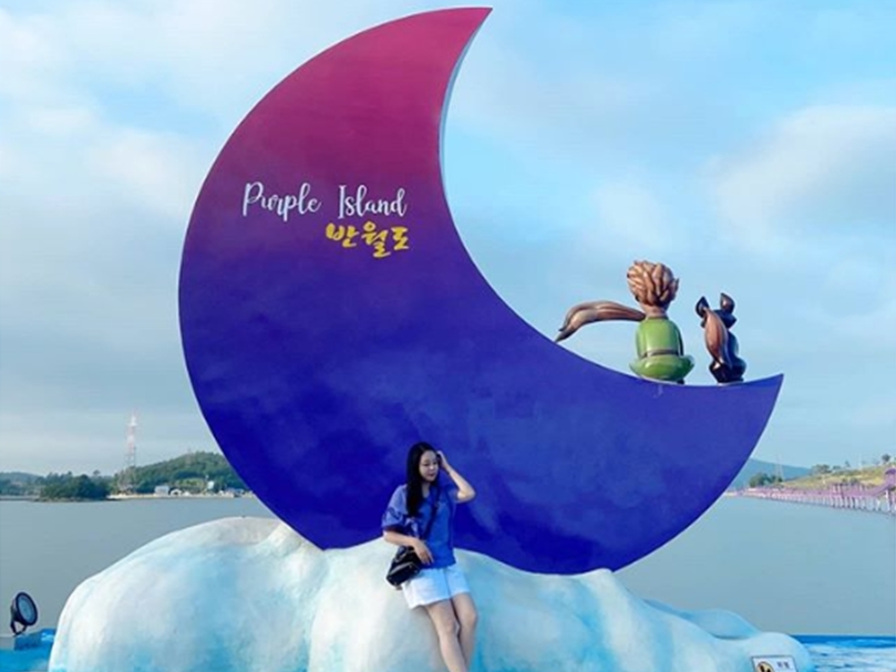 Purple Island : South Koreas newest tourist attraction that has every ...